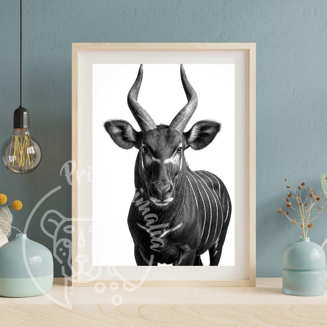 Bongo Wall Art Printable | Black and White Wildlife Photography ...