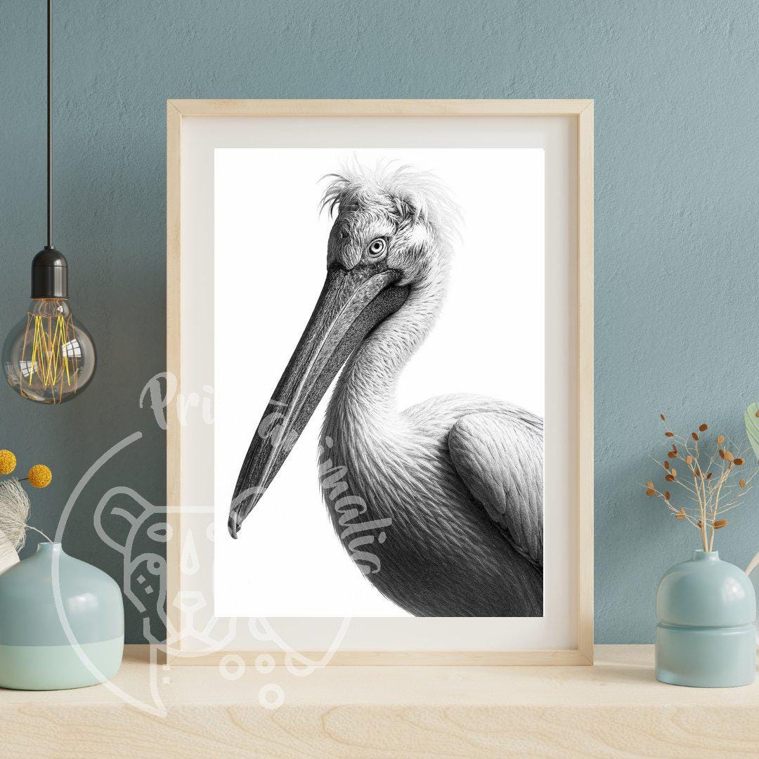 Dalmatina Pelican Wall Art Printable | Black and White Wildlife ...