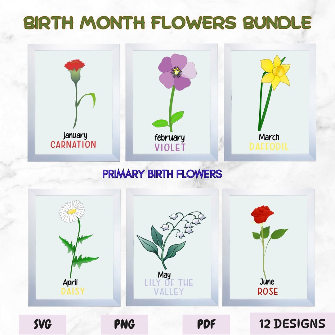 Birth Month Flowers Svg, Birth Month Svg Png Bundle, Birth Flower Print ...