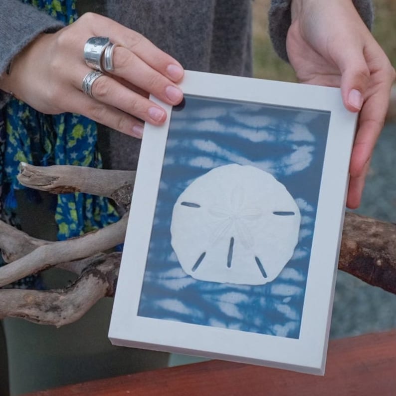 Handmade Sand Dollar Shadow Boxes - Etsy