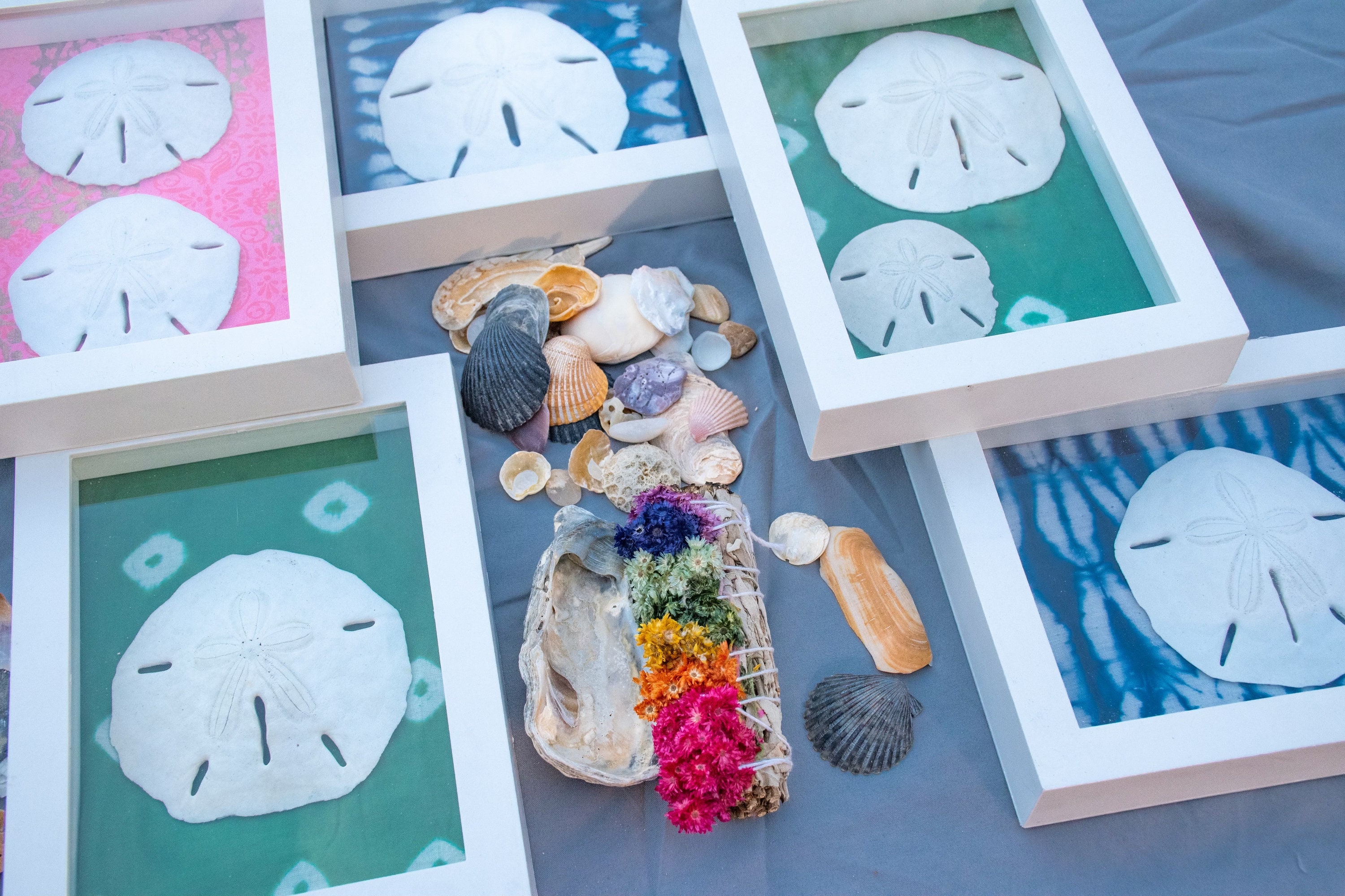 Handmade Sand Dollar Shadow Boxes - Etsy