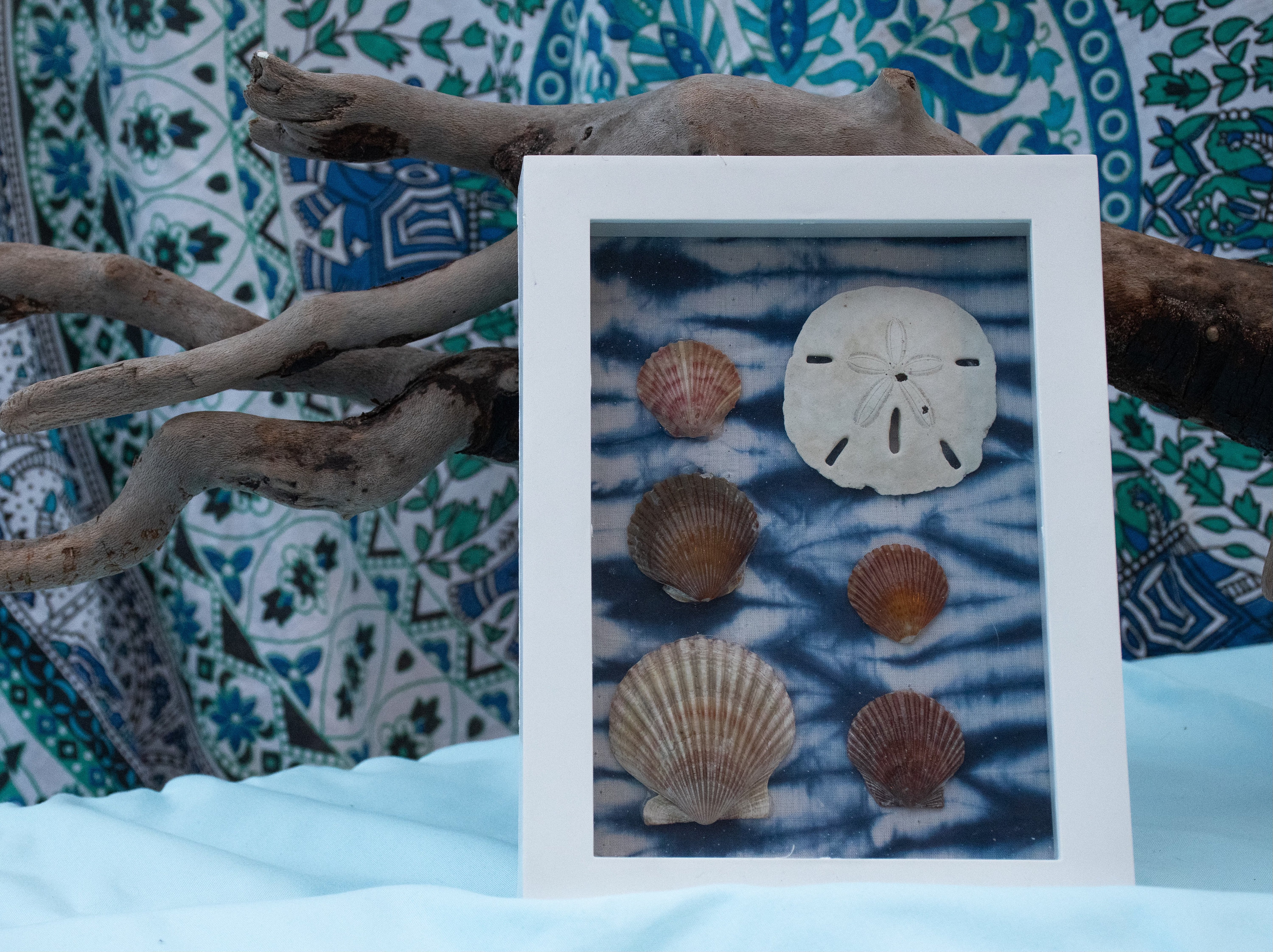 Handmade Sand Dollar Shadow Boxes - Etsy