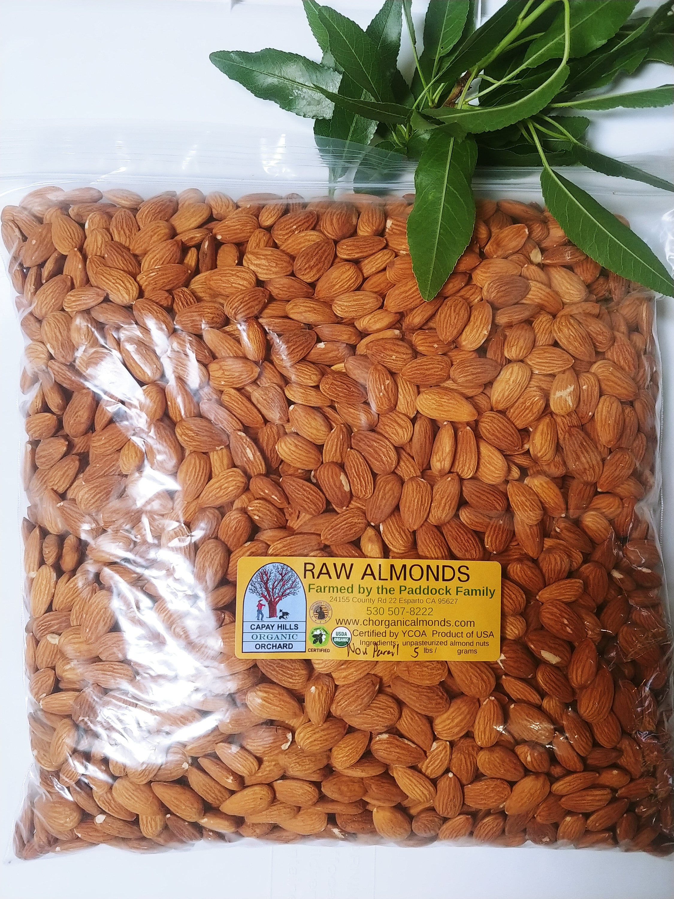 Almonds- 2 Lbs- Truly Raw- Unpasteurized - Organic - Etsy
