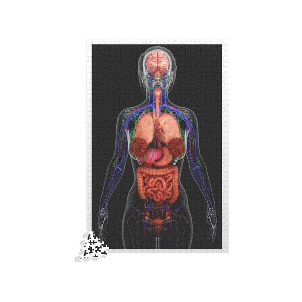 Human Body Puzzle - Etsy