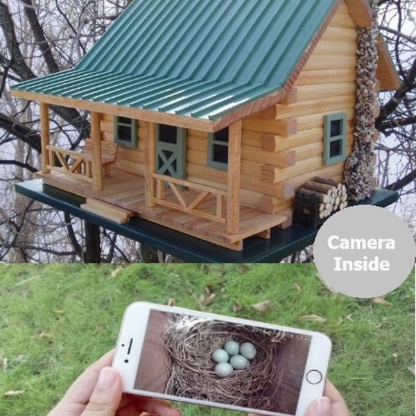 Bird House With Camera - Etsy