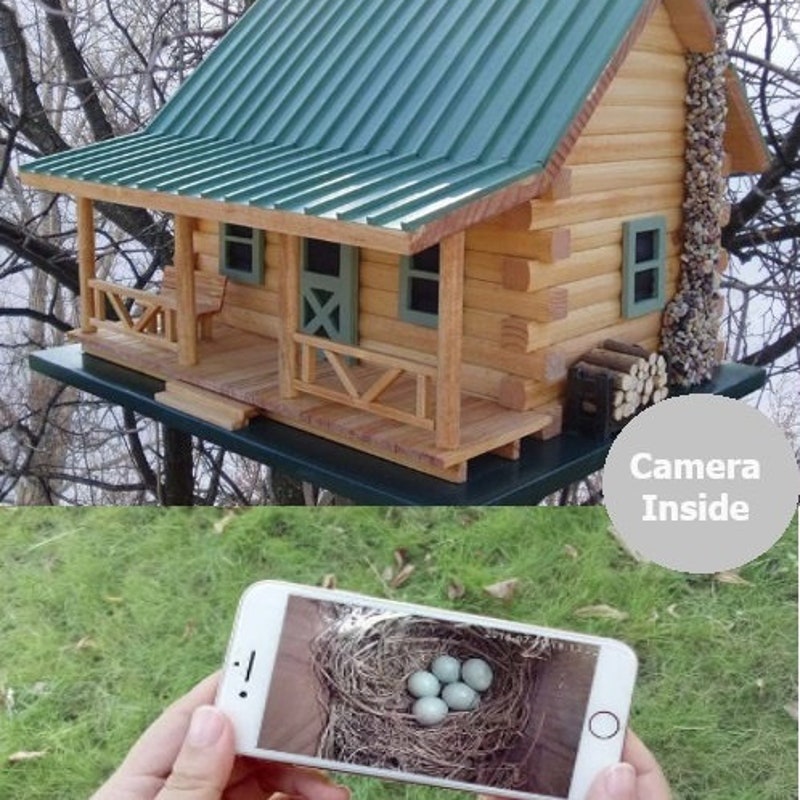 Bird House With Camera - Etsy