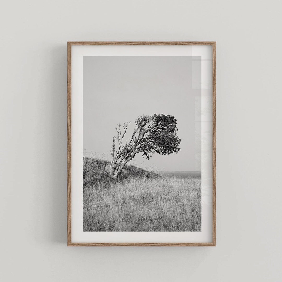 Printable Nature Tree Art Poster Landscape Ocean Field Minimalist Wall ...