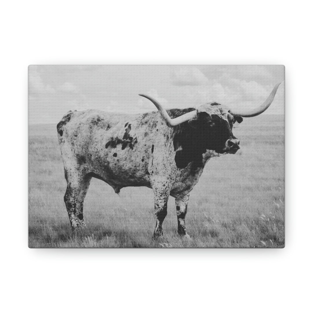 Longhorn Cattle Texas Longhorn Cow Picture Canvas Gallery Wraps - Etsy