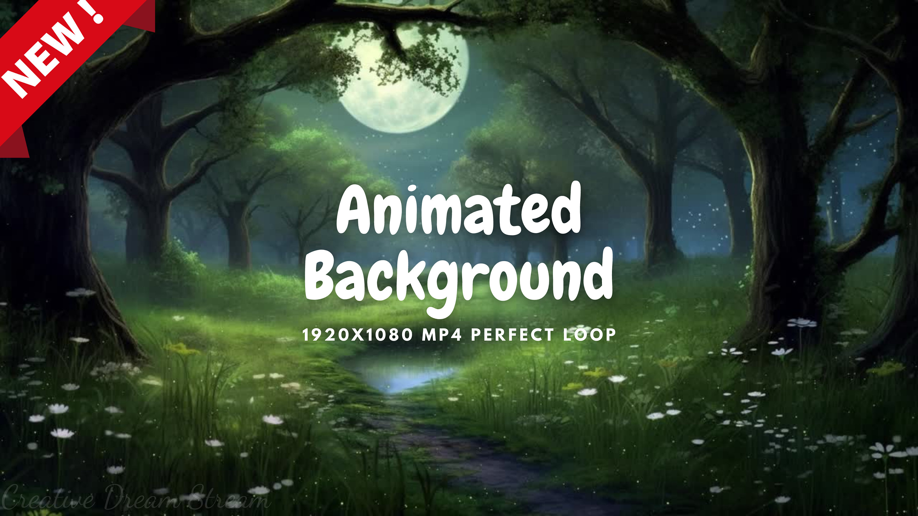 Animated Background Enchanting Forest Magical Nightime Scene for Your ...