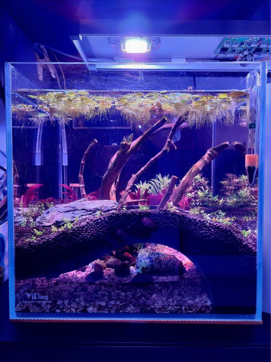 Corner Aquarium Cave the Krib Kavern / Fish and Shrimp Caves / Aquarium ...