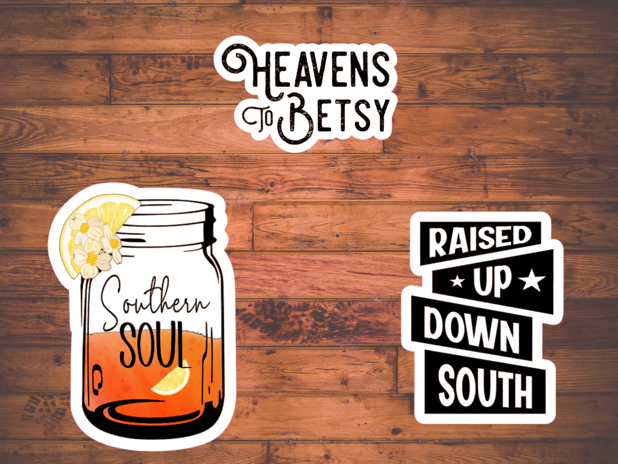 10 Southern Sass Sticker Set - Etsy