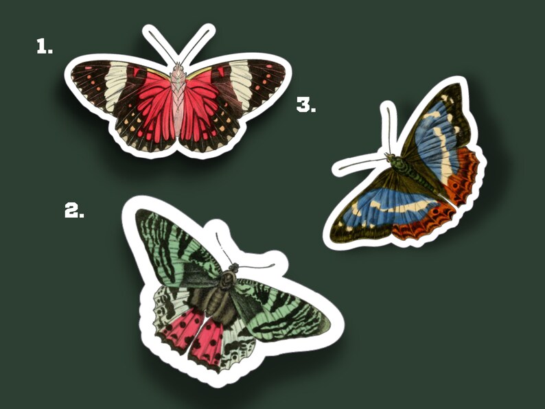 12 Cute Colorful Vintage Style Watercolor Butterfly Stickers - Etsy