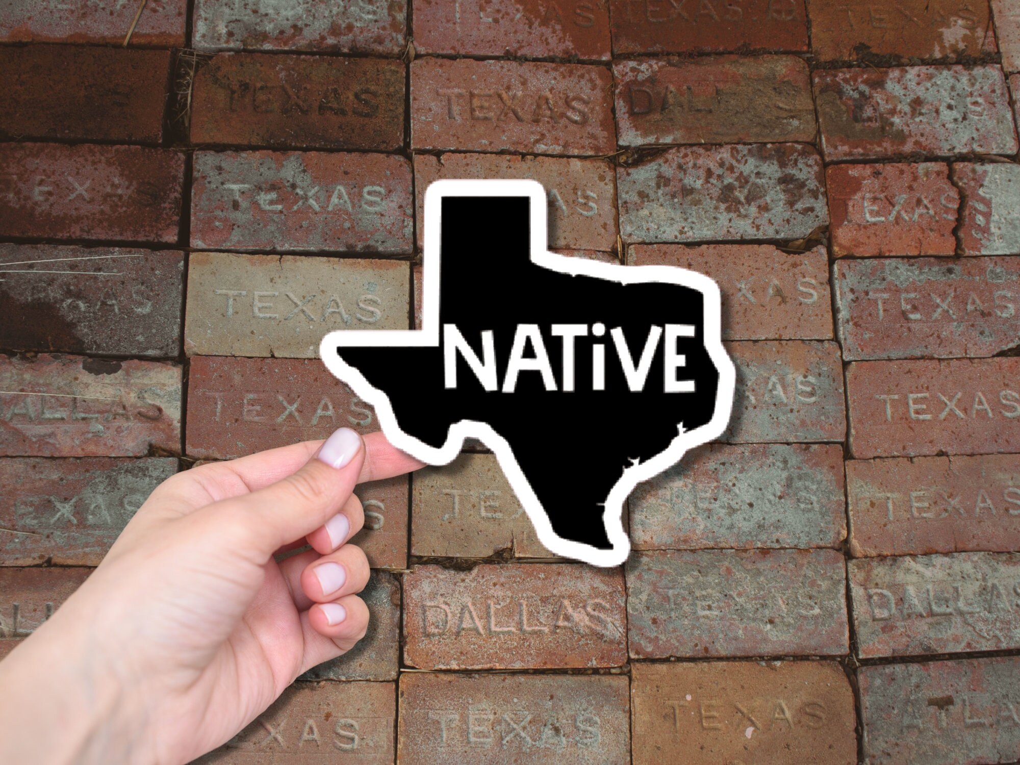 Dallas Texas Lone Star State Sticker Set - Etsy