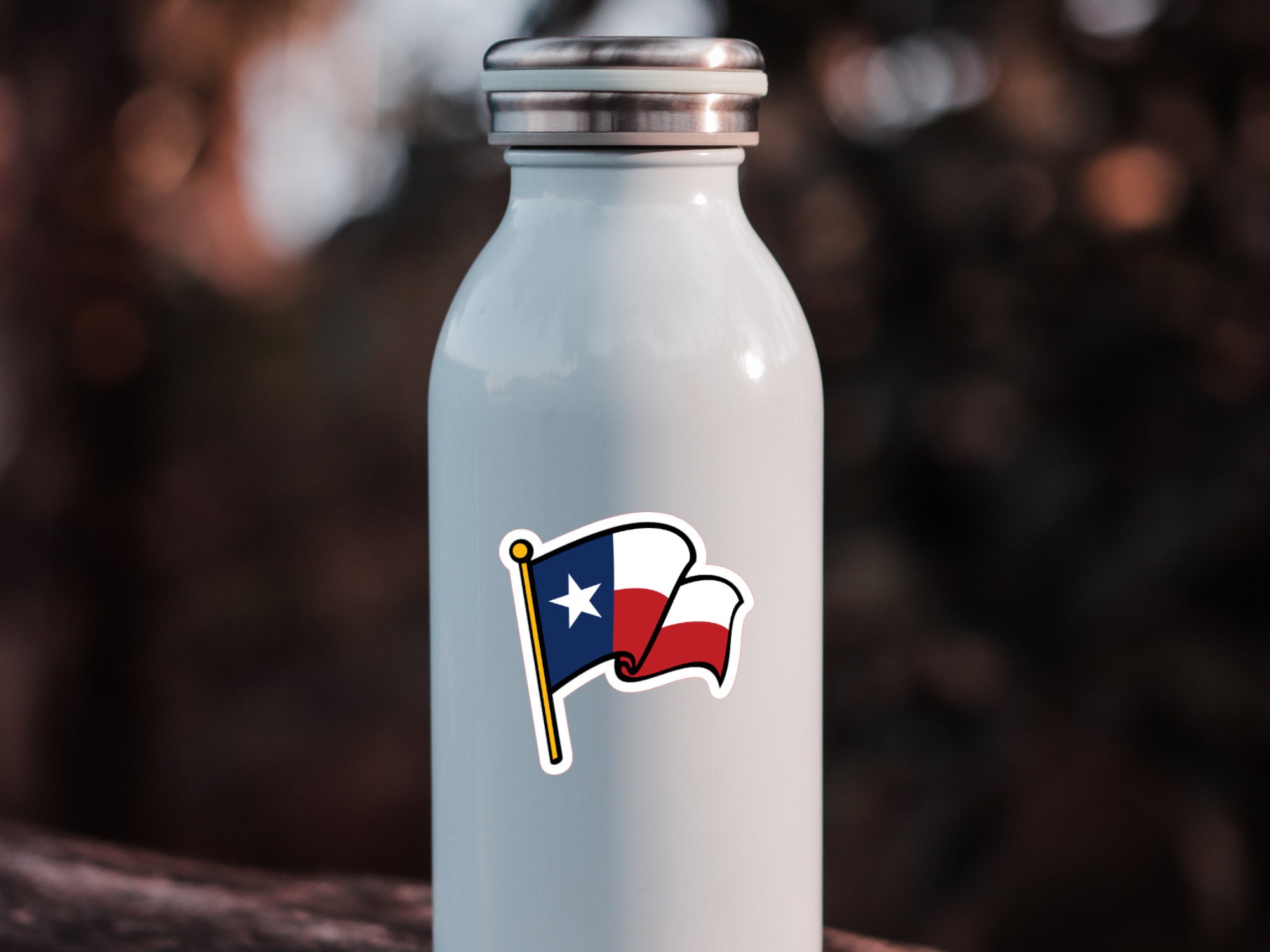 Ft. Worth Texas Lone Star State Sticker Set - Etsy