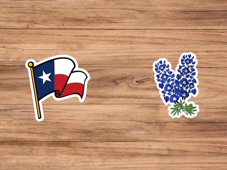 Ft. Worth Texas Lone Star State Sticker Set - Etsy