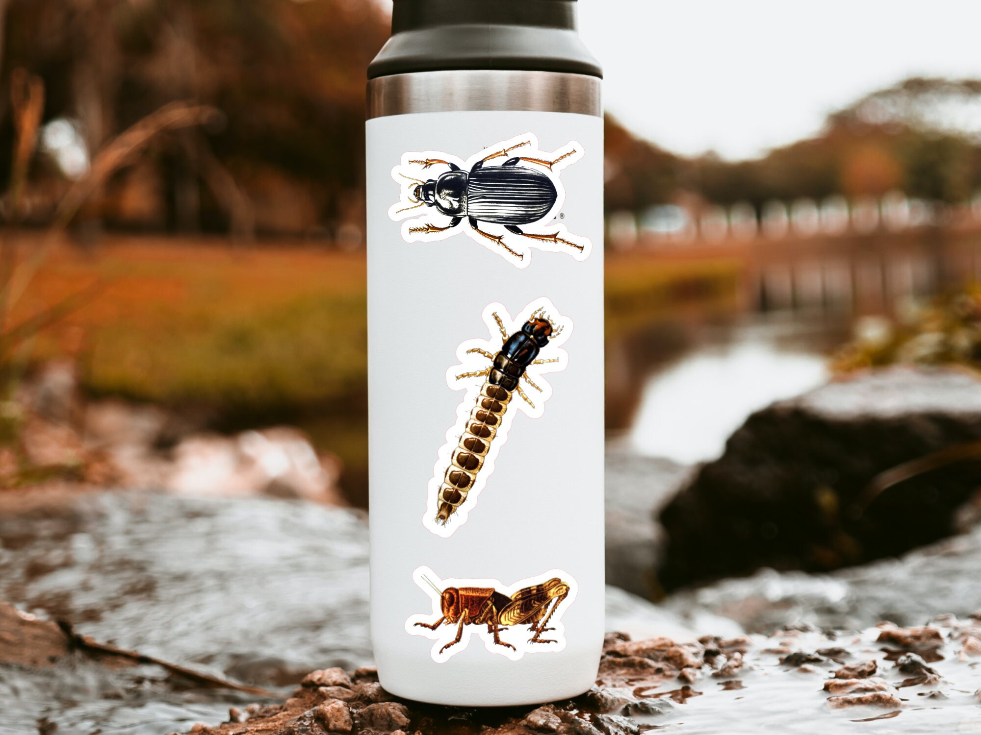 9 Vinyl Bug Sticker Set - Etsy