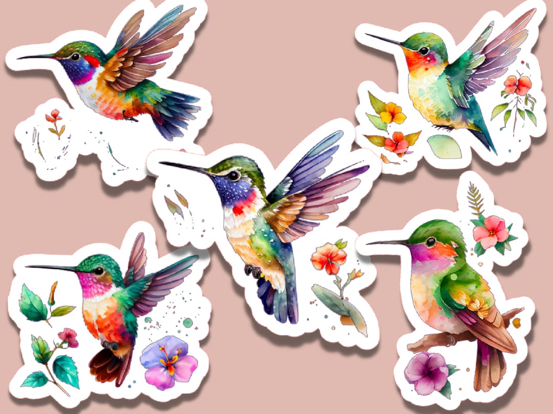 5 Watercolor Hummingbird Stickers Set Waterproof - Etsy