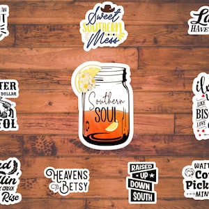 10 Southern Sass Sticker Set - Etsy