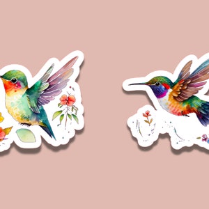 5 Watercolor Hummingbird Stickers Set Waterproof - Etsy
