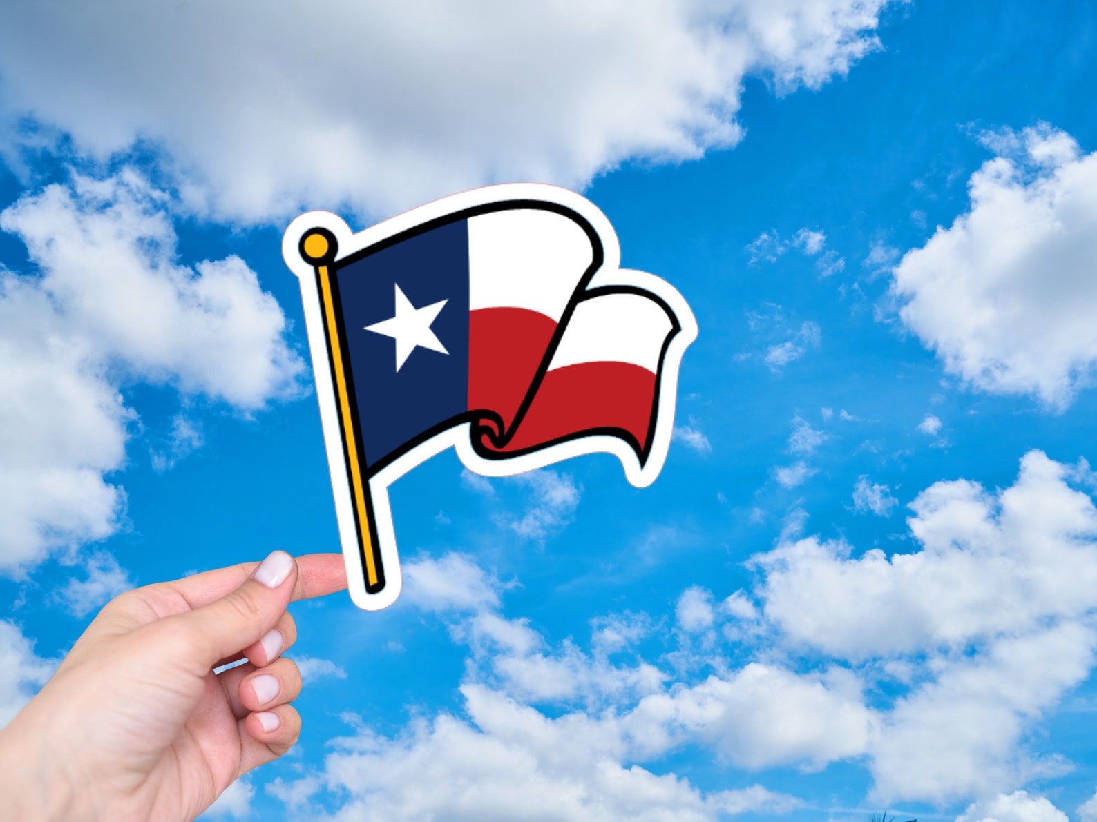 30 Texas Lone Star State Stickers - Etsy
