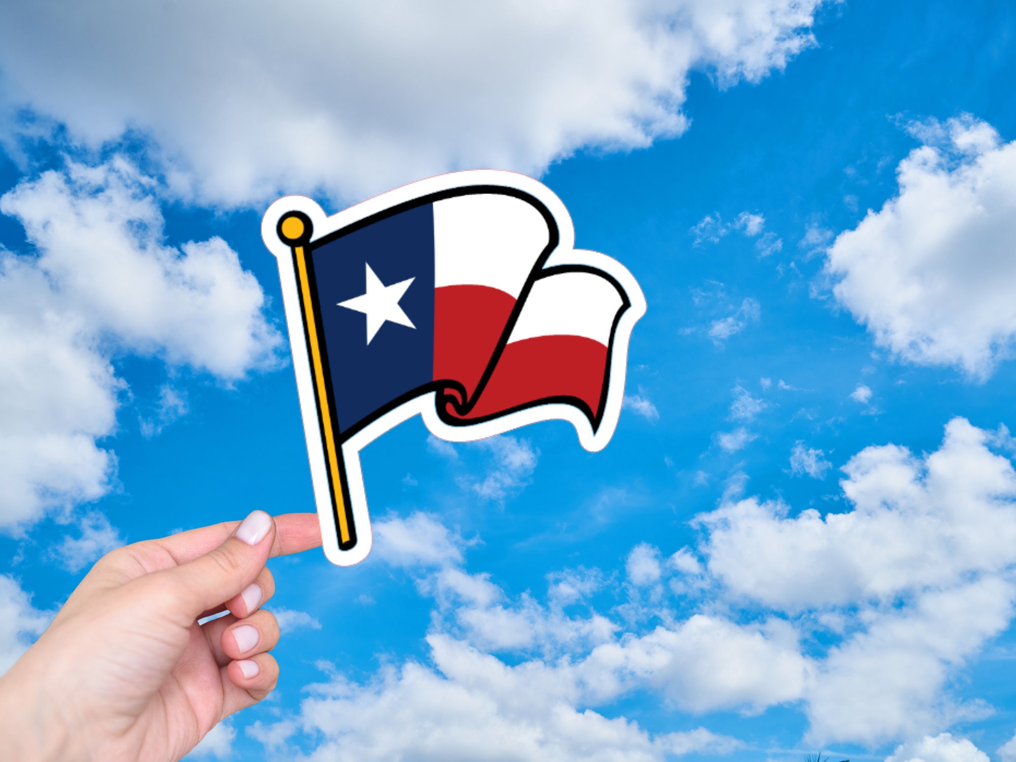 30 Texas Lone Star State Stickers - Etsy