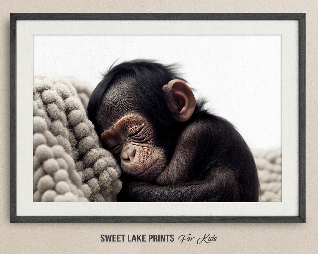 Sleeping Monkey Printable Wall Art / Nursery Wall Decor / Sleeping ...