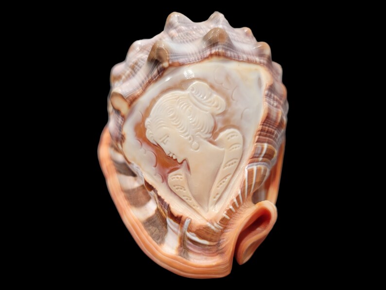 Vintage Italian Hand Carved Conch Shell Cameo Stunning - Etsy