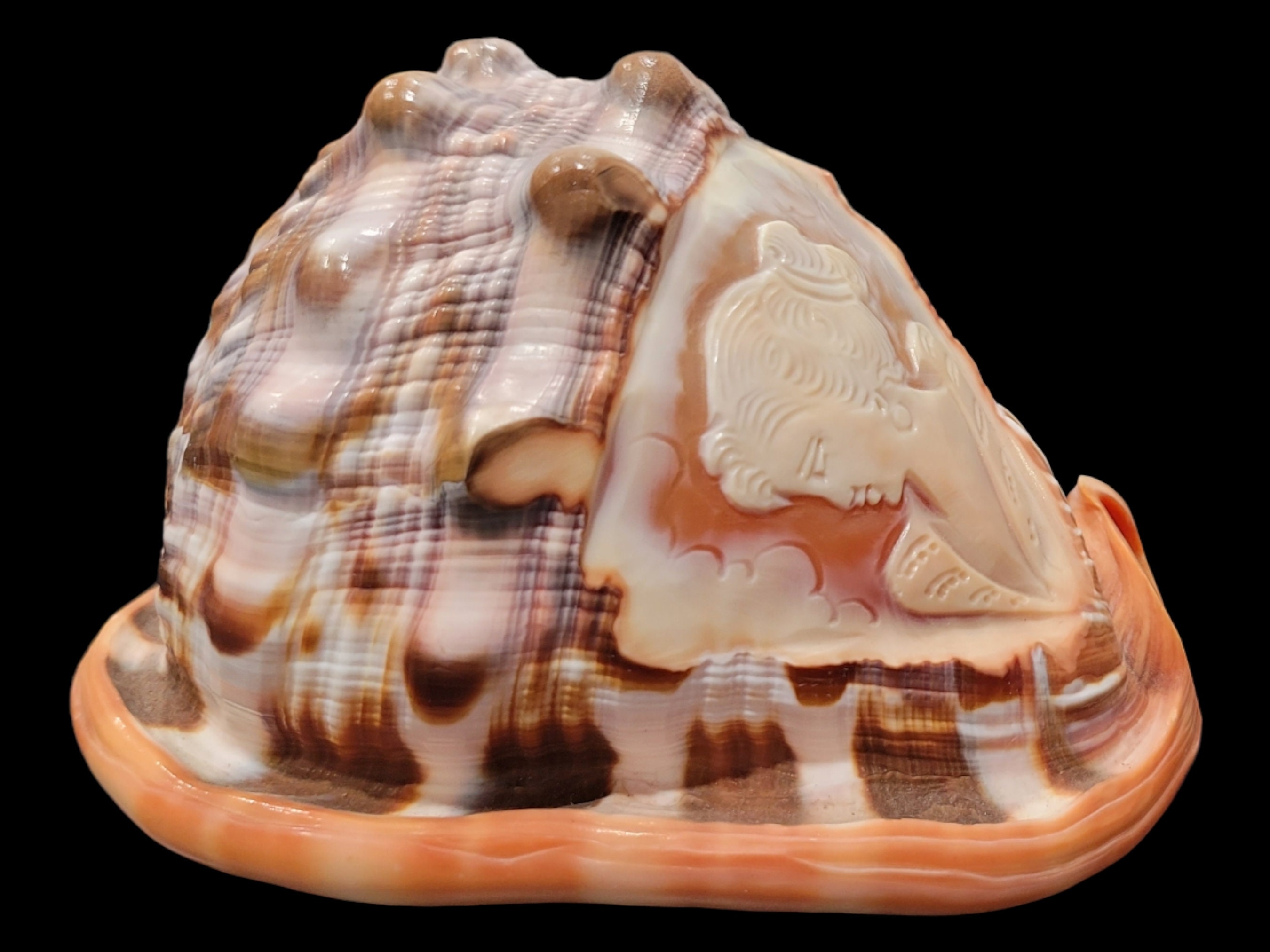Vintage Italian Hand Carved Conch Shell Cameo Stunning - Etsy