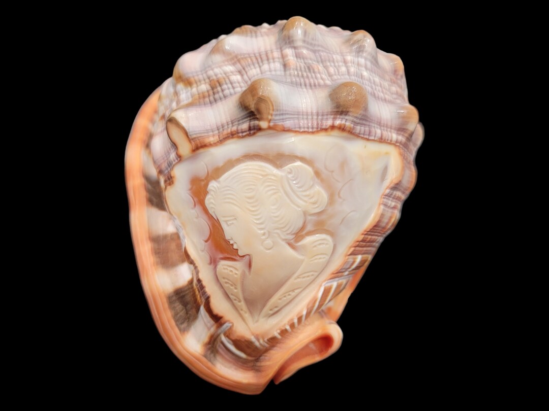 Vintage Italian Hand Carved Conch Shell Cameo Stunning - Etsy