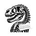 Fossil Skeleton SVG Bundle - Etsy
