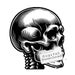 Skull SVG Bundle - Etsy