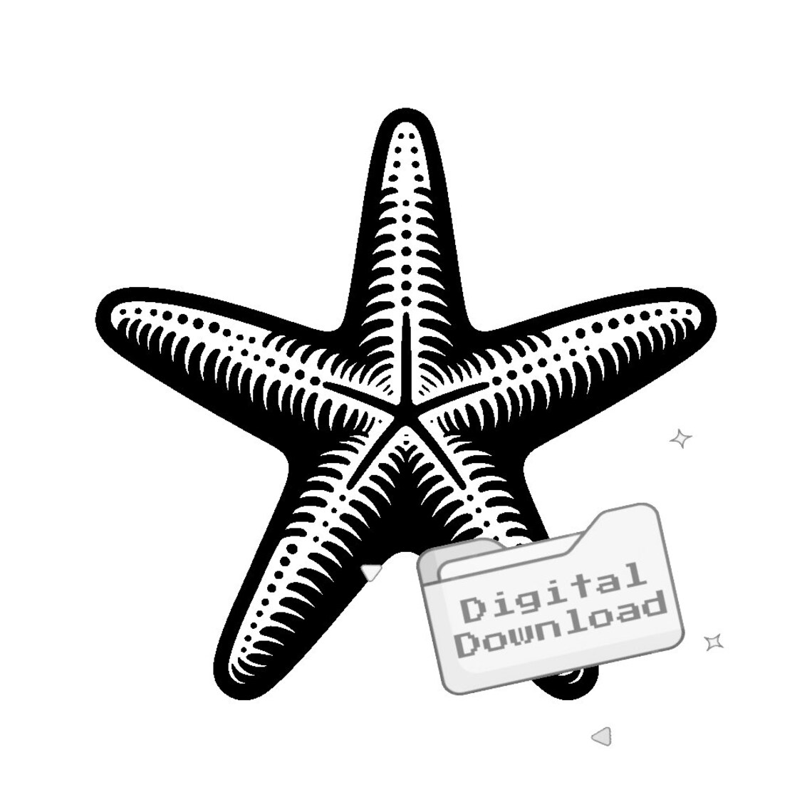 Starfish SVG Bundle - Etsy