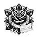Rose SVG Bundle - Etsy