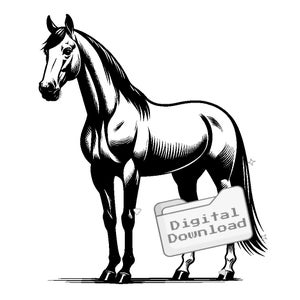 Thoroughbred Horse SVG Bundle - Etsy