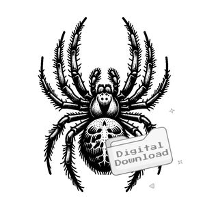 Spider SVG Bundle - Etsy