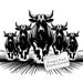 Cattle Drive SVG Bundle - Etsy