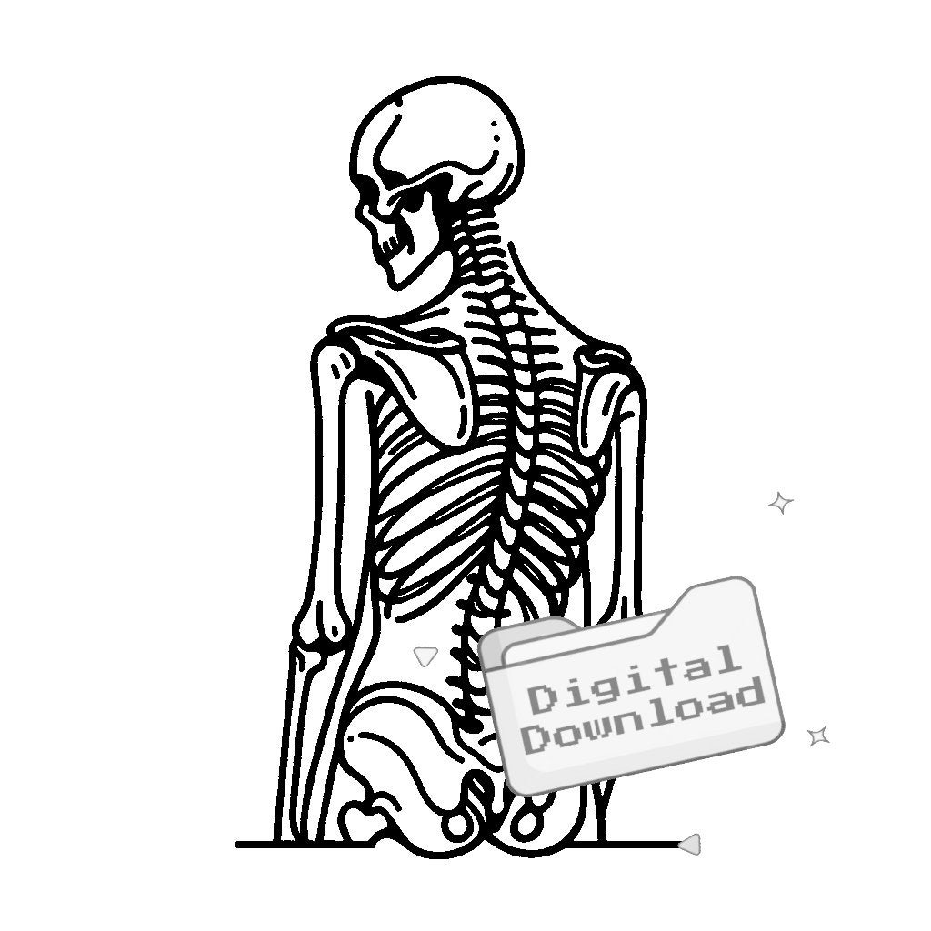 One Line Drawing of a Skeleton SVG Bundle - Etsy