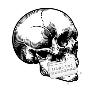 One Line Drawing of a Skull SVG Bundle - Etsy