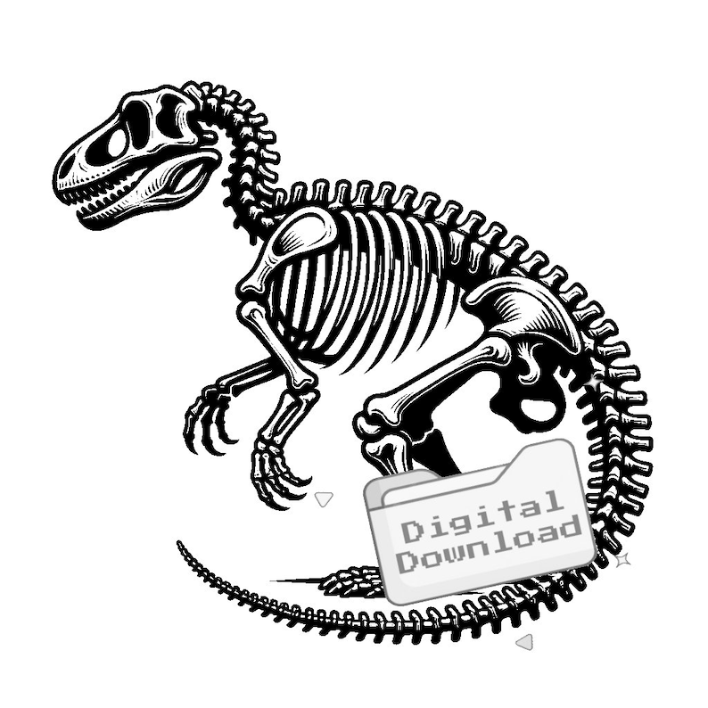 Fossil Skeleton SVG Bundle - Etsy
