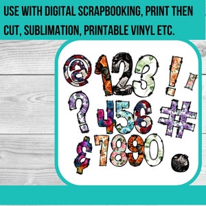 Roses of Many Colors Alphabet Doodle Rose Font Bundle Letters Numbers ...