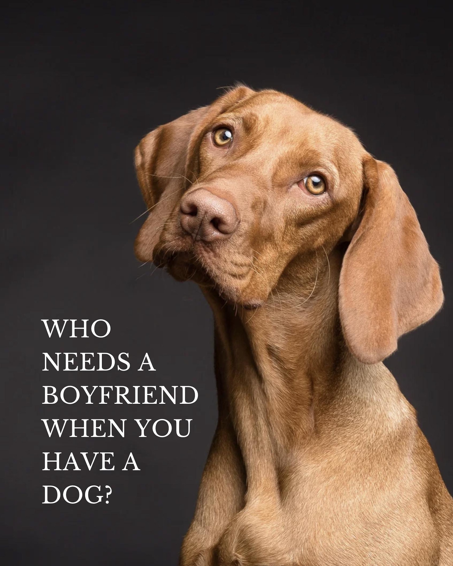 Dog Quote Instagram Templates | Editable Canva Designs (instant ...