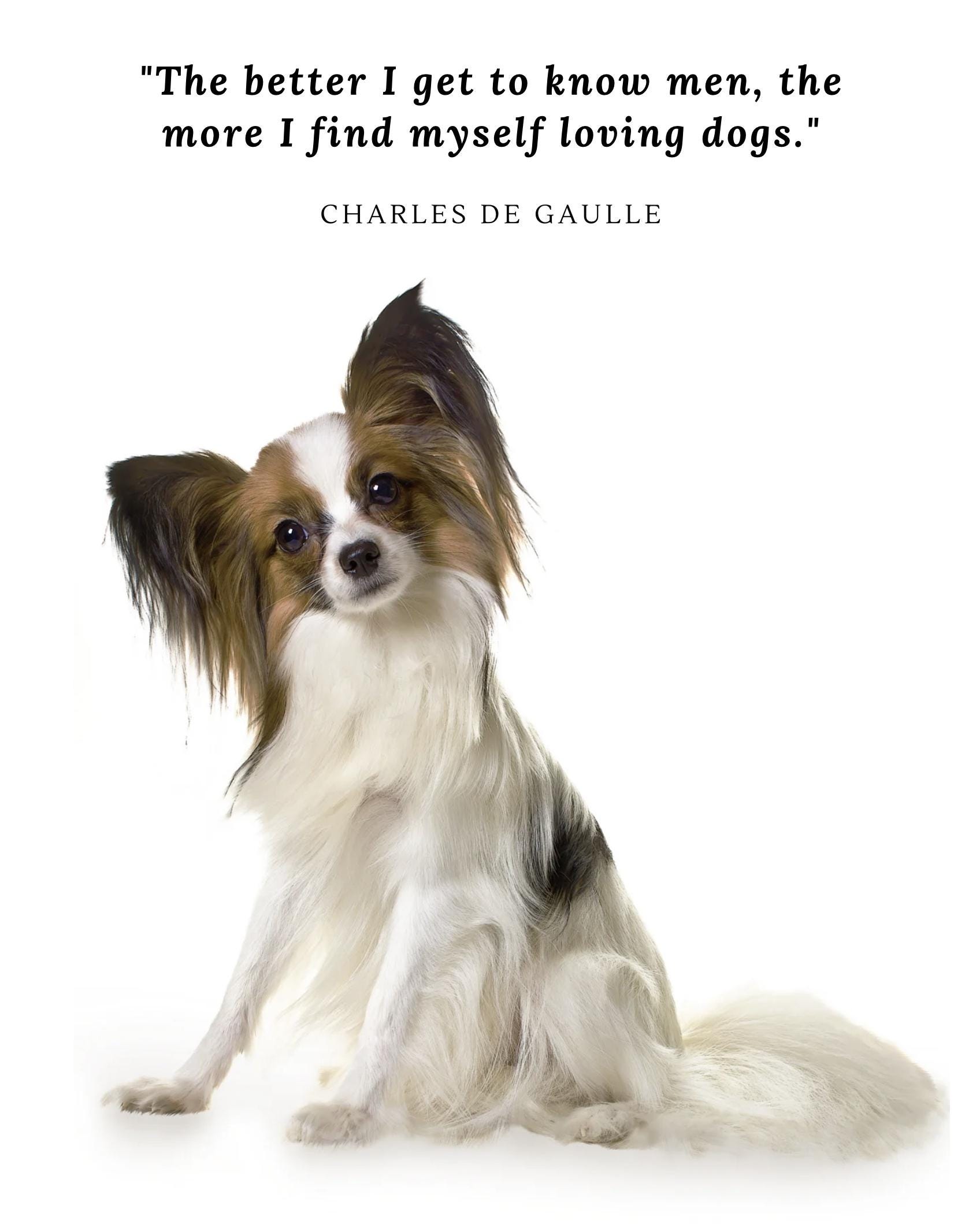 Dog Quote Instagram Templates | Editable Canva Designs (instant ...