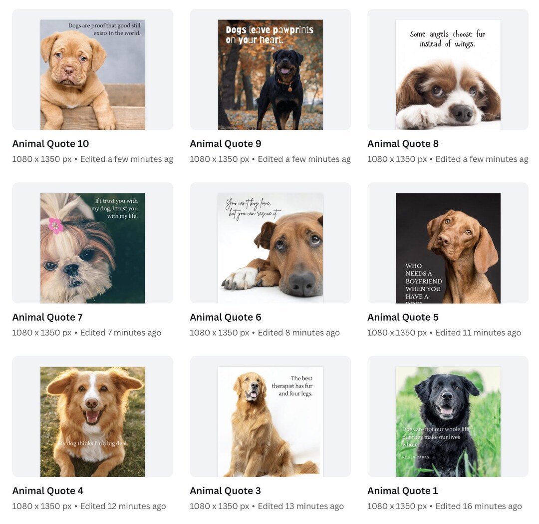 Dog Quote Instagram Templates | Editable Canva Designs (instant ...