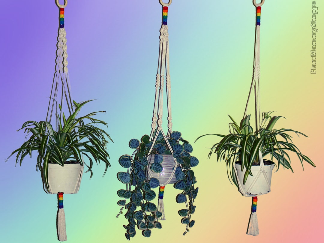 Pride Macrame Plant Hanger Rainbow LGBTQIA Flag Gay, Trans, Queer ...