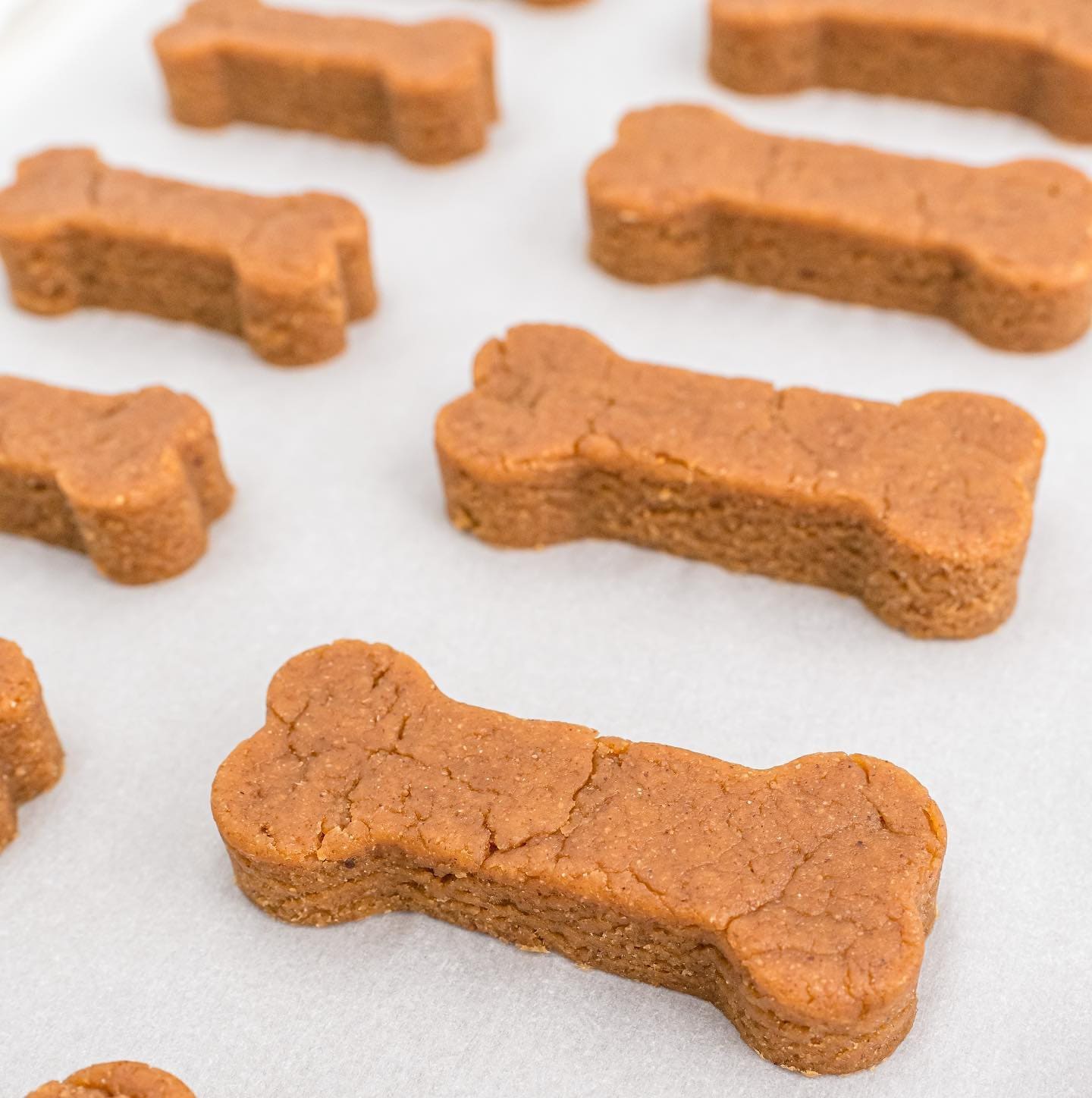 All-natural Peanut Butter Bone Shaped Dog Treats 1/2 Dozen - Etsy