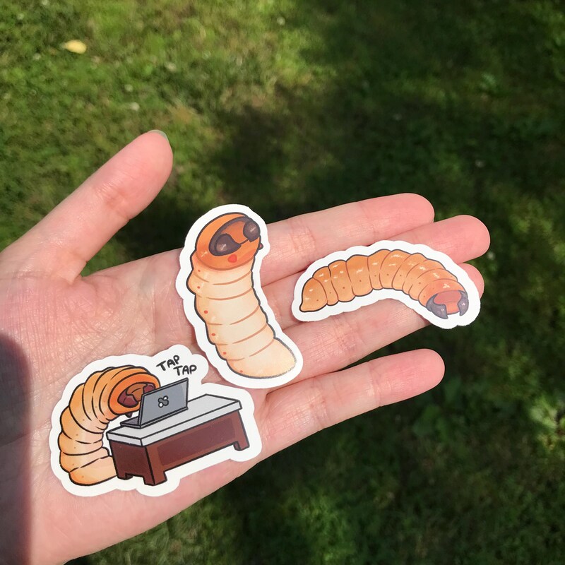 Maggots - Etsy