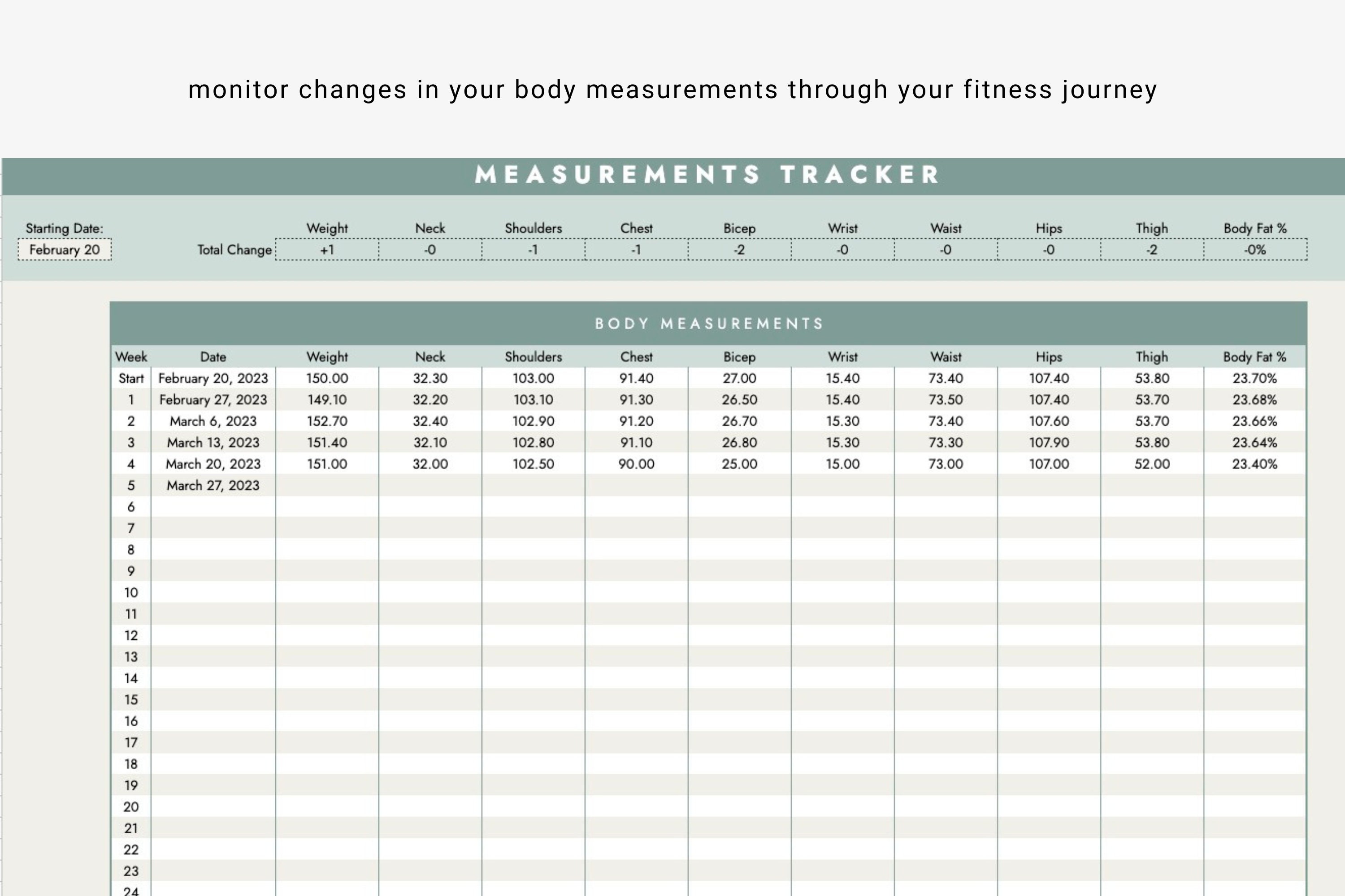 All-in-one Ultimate Fitness Tracker | Google Sheets Template | Macros ...