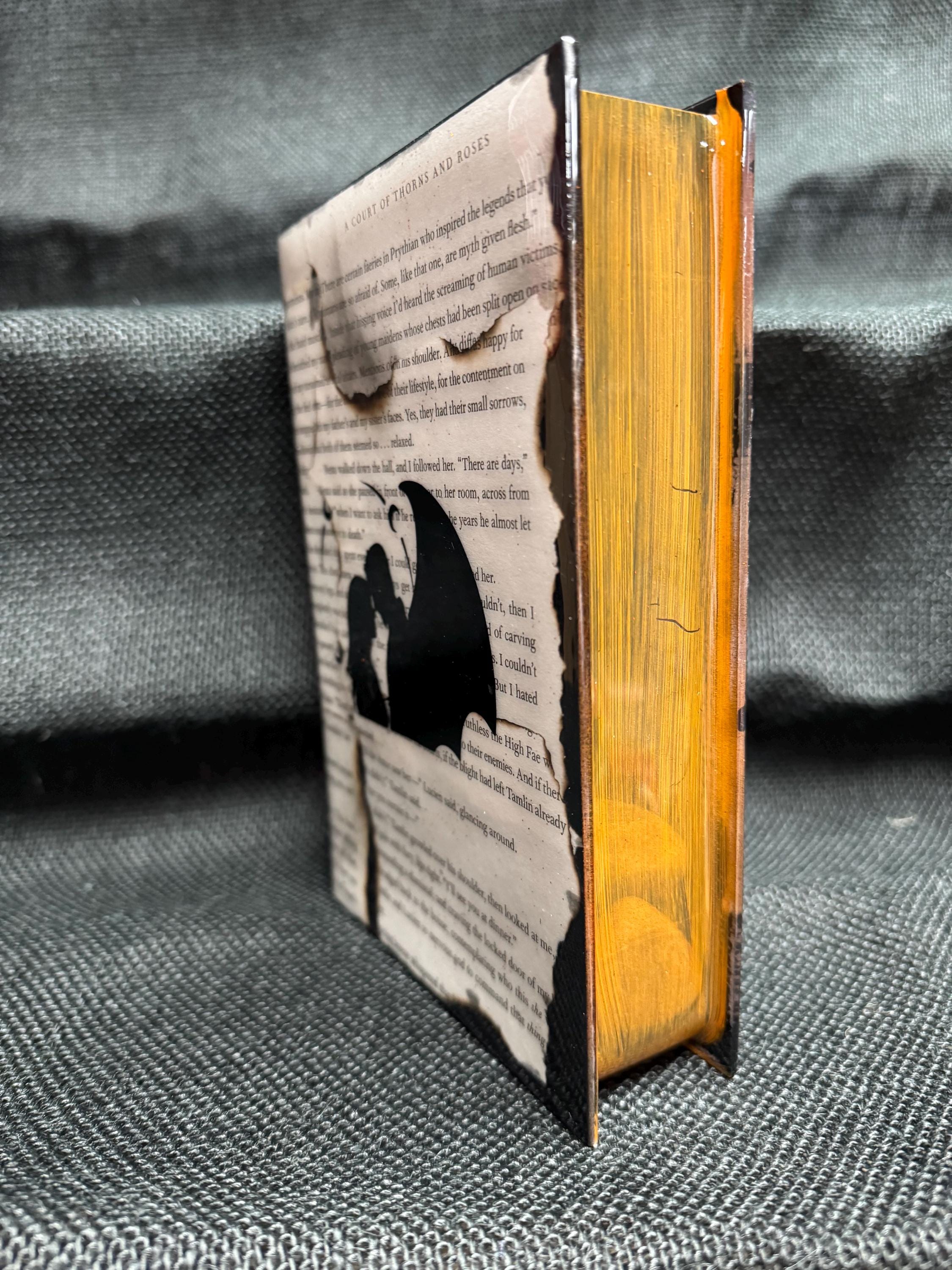 ACOTAR Flower Book Vase. A Court of Thorn and Roses Designed With the ...