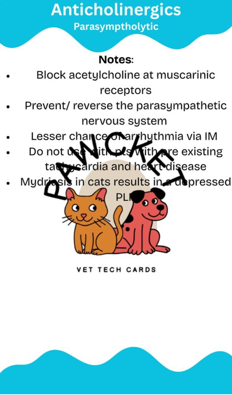 Vet Tech Study/ Flash Cards- Digital Template - Etsy
