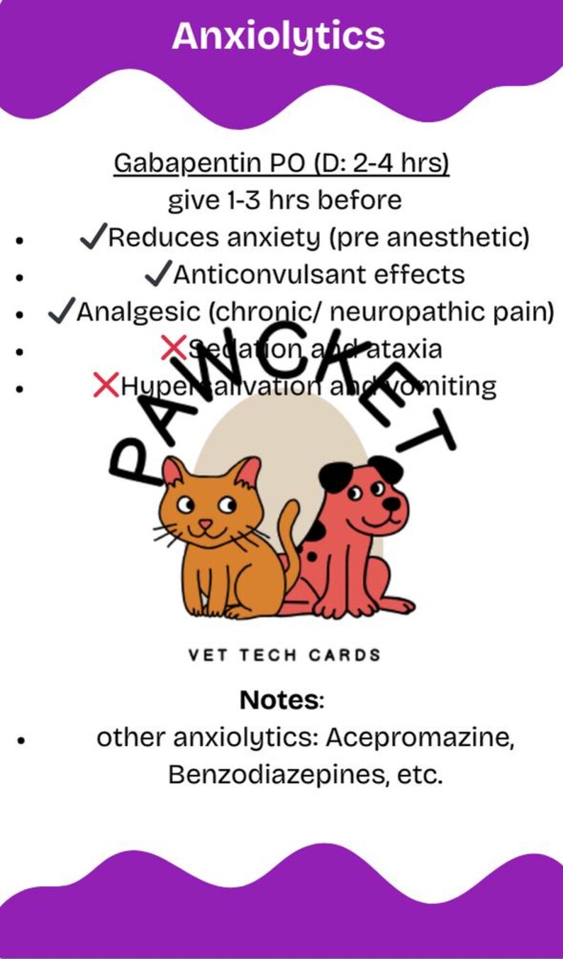 Vet Tech Study/ Flash Cards- Digital Template - Etsy